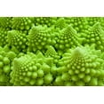500 * Seeds ROMANESCO BROCCOLI Broccoflower Roman Cauliflower Pyramid ...