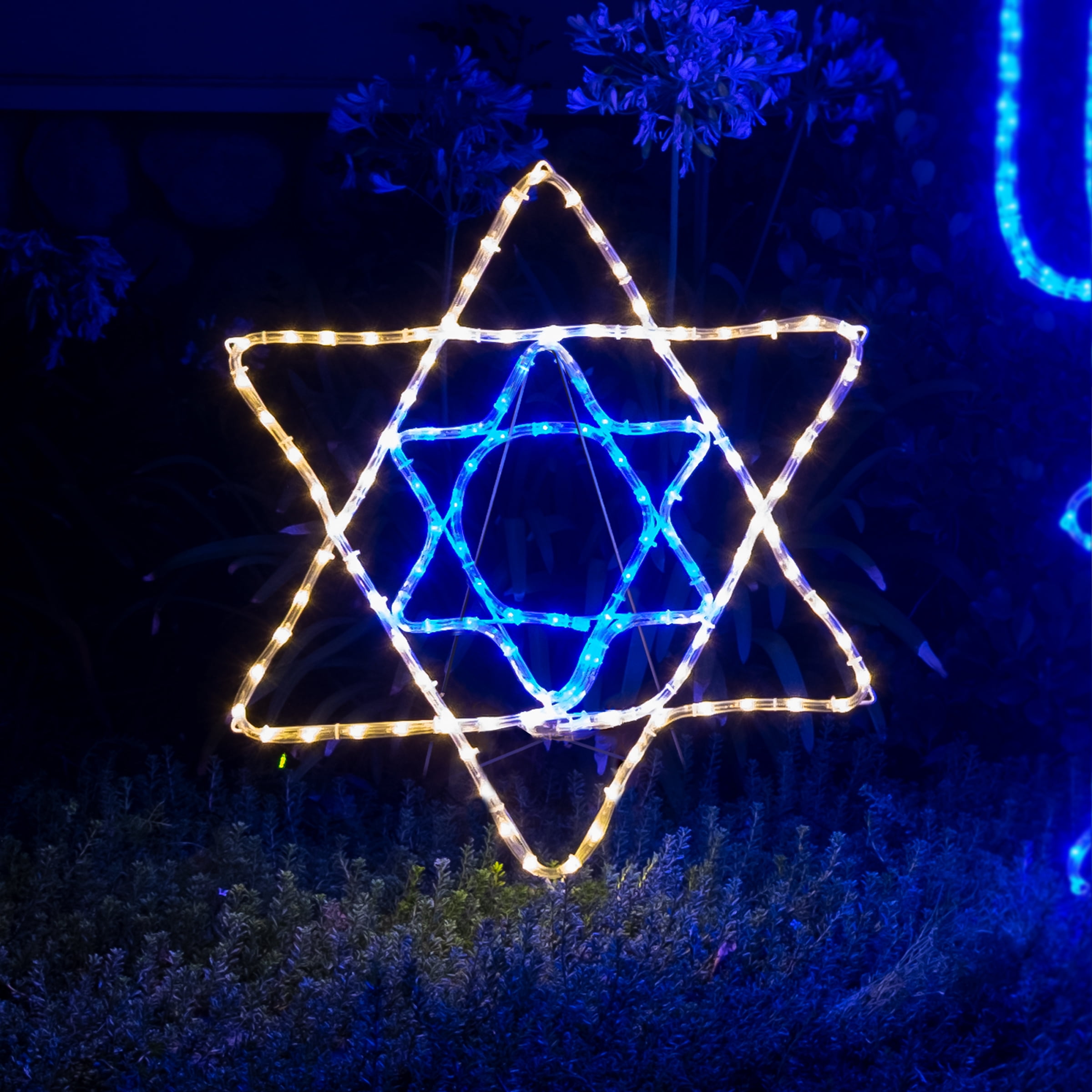 Hanukkah Decorations Lights | Shelly Lighting