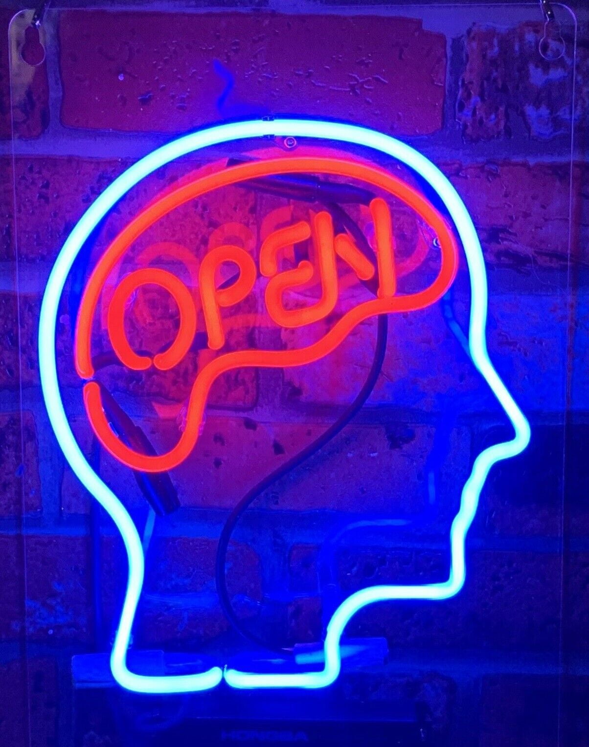 Queen Sense 14" Open Mind Neon Sign Acrylic Man Cave Handmade Neon ...