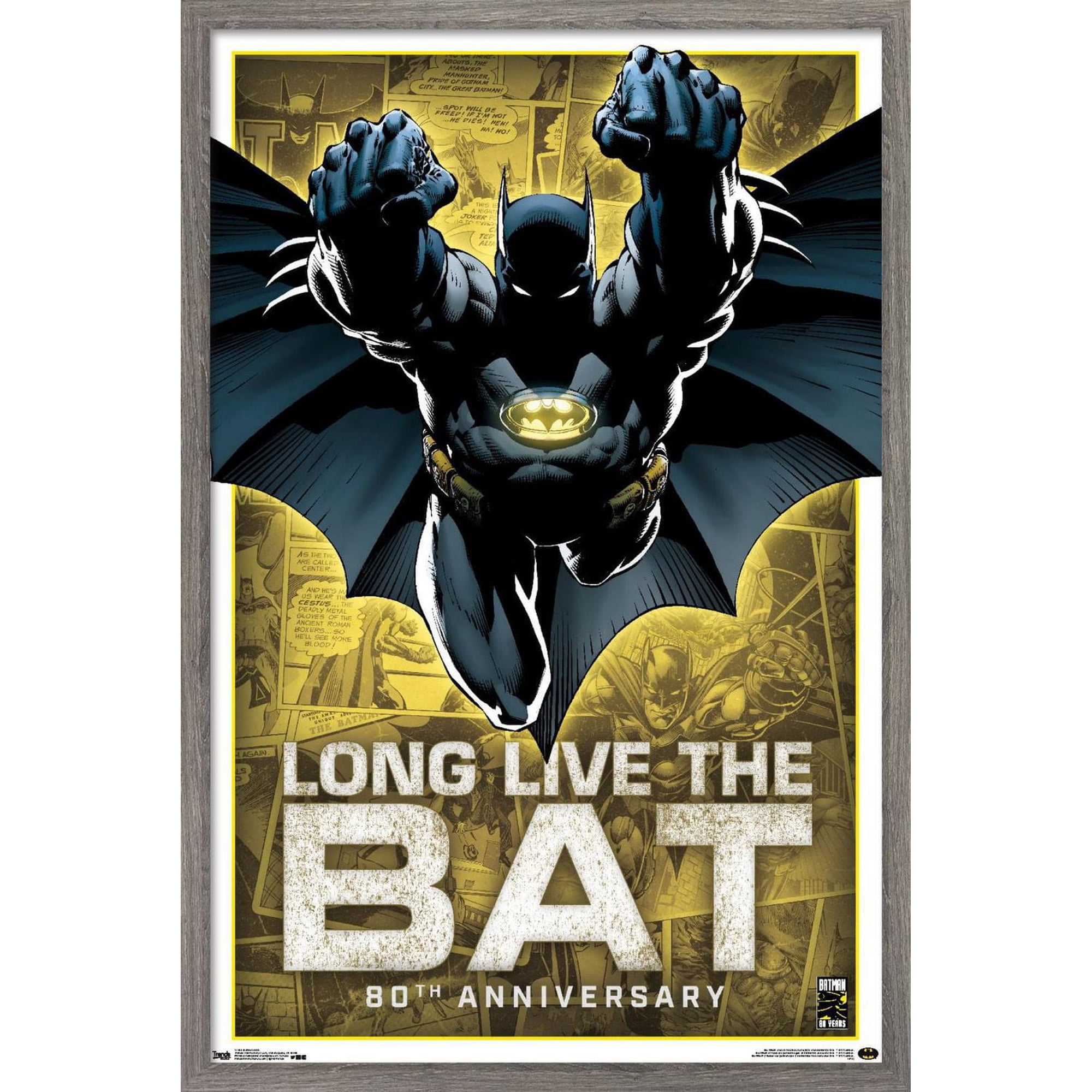 Click here for Trends International Dc Comics - Batman - 80th Ann... prices