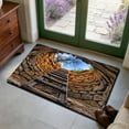 B Stereoscopic Visual Effect Entrance Door Mat 15.75 X 23.62 Inches ...
