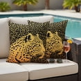 Abstract Leopard Print Outdoor Waterproof Throw Pillow Covers 24x24 Set ...