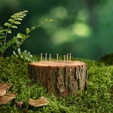 25/20/15Pcs 4Inch Copper Nails For Killing Trees Stump Root Stump ...