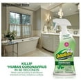 OdoBan 2 Pack 32 oz. Eucalyptus Multi-Purpose Disinfectant Spray ...