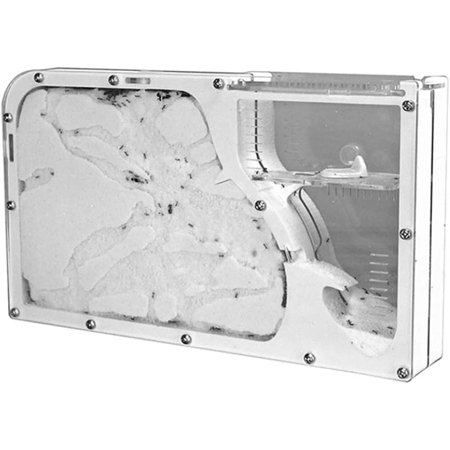 Acrylic Ant Castle Scientific Ant Sand Nest and Moisturizing with ...