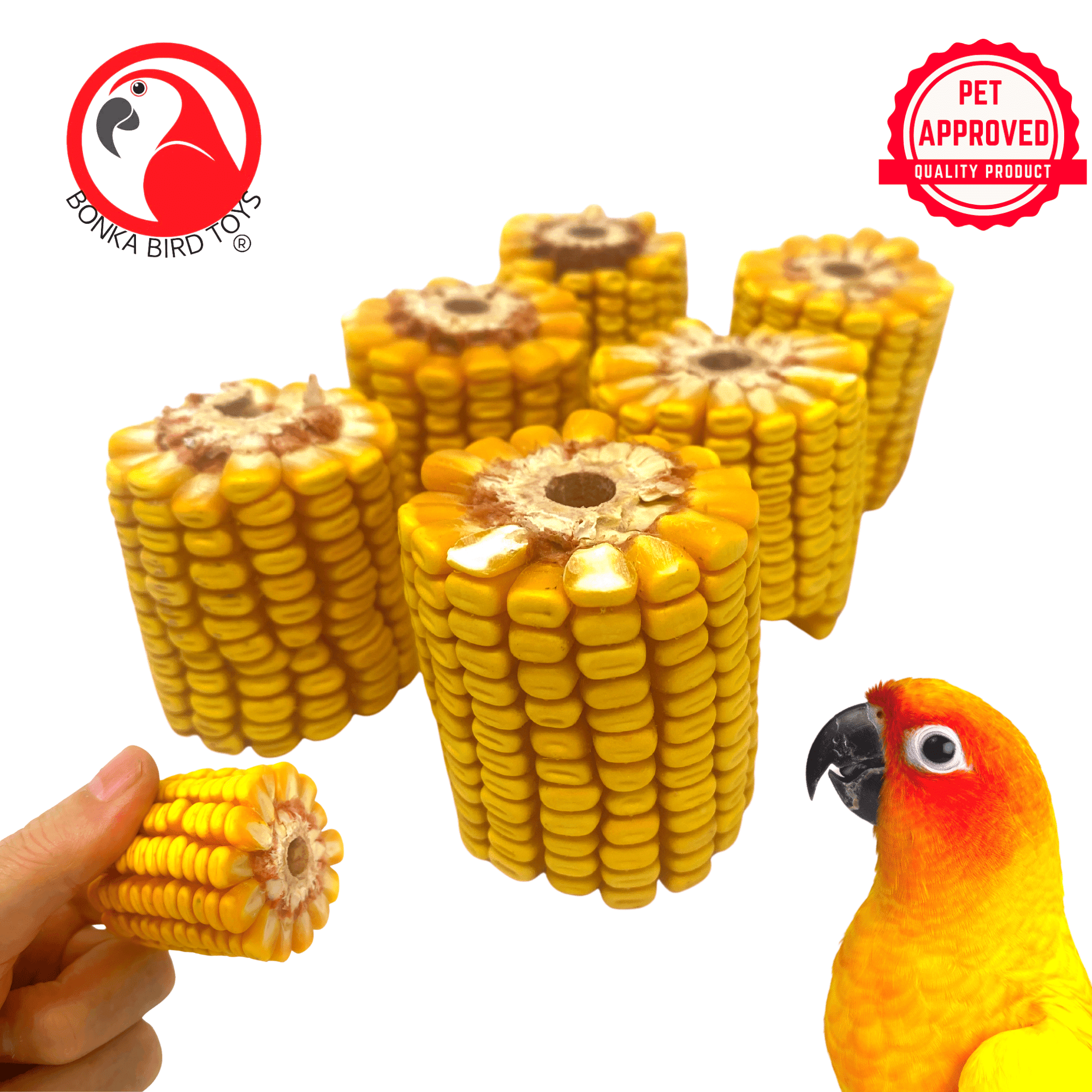 Bonka Bird Toys Bonka bird Toys 3919 Pk6 Natural Half Corn Cob Foot ...