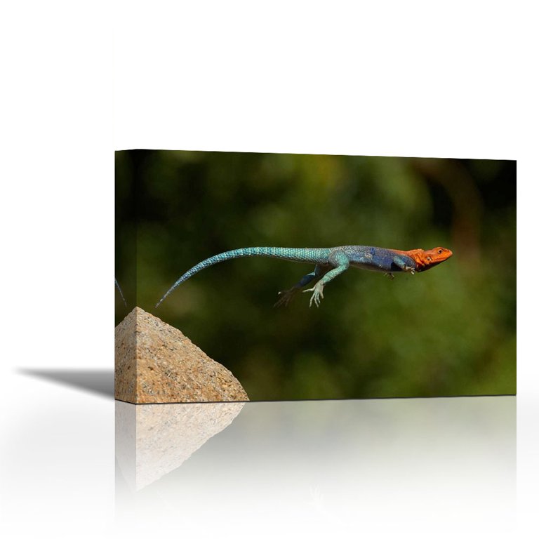 Lizard Painted On Rocks