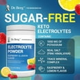 Free Shipping! Dr. Berg Electrolyte Powder Raspberry Lemon Hydration ...
