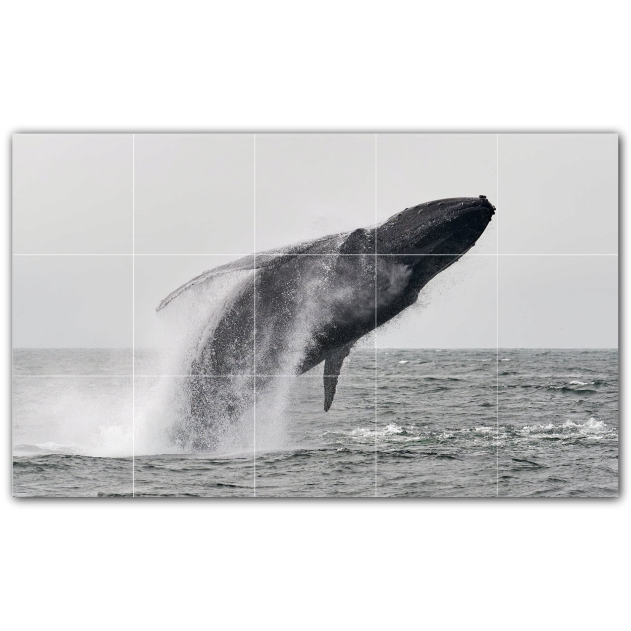 Picture-Tiles.com: Whale Ceramic Tile Wall Mural WAL501188-53XL. 60"W x ...