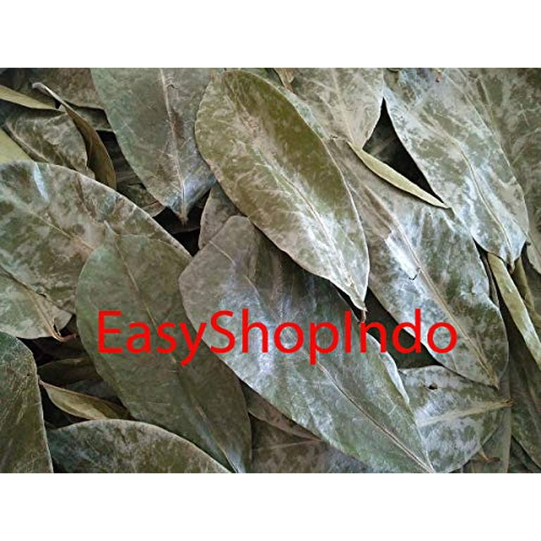 Guyabano Leaves