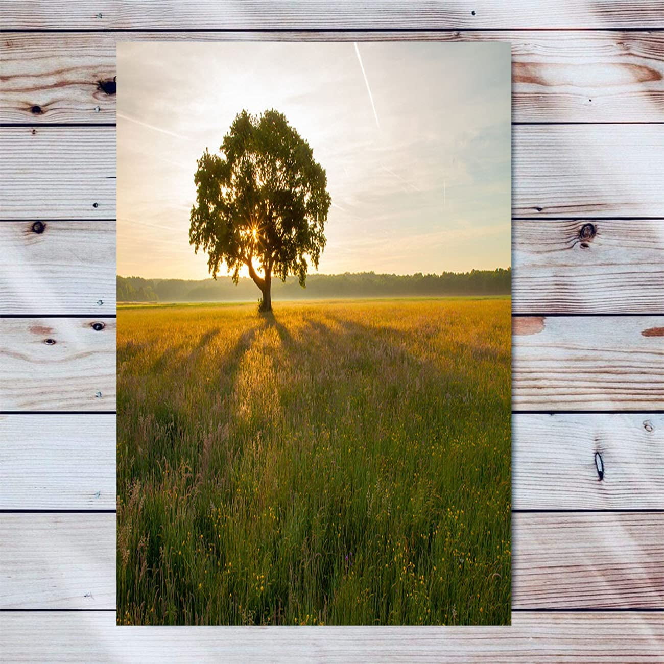 Tree Sunrise Canvas Wall Art Artwork Wooden Frame Painting Single Tree ...