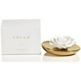 Zodax "Dream" Porcelain Flower Diffuser, White Rose - Walmart.com