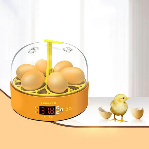 Eggs Incubator Automatic Turning Duck Bird Children automatic egg ...