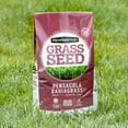 Pennington Pensacola Bahiagrass Grass Seed, for Full Sun, 3 lb ...
