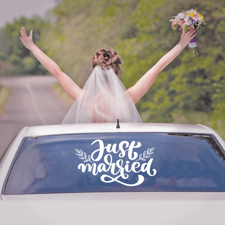 Just Married Signs