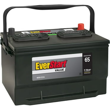 EverStart Maxx Lead Acid Automotive Battery, Group Size 124R 12 Volt ...
