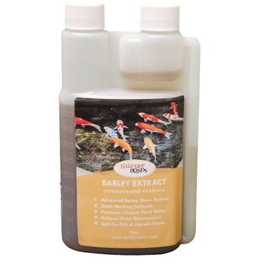 Beckett 1000 Gallon Barley Straw Bales Natural Filtration For Clean ...