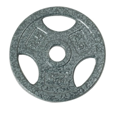 GoZone Grip Weight Plate – Silver, With anti-rust finish - Walmart.ca