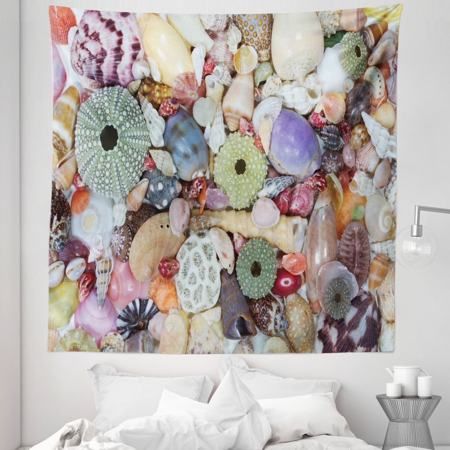 Shell Tapestry, Closeup Photo of Various Colorful Big Little Seashells ...