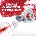MiO Strawberry Watermelon Sugar Free Water Enhancer, 1.62 fl oz Bottle ...