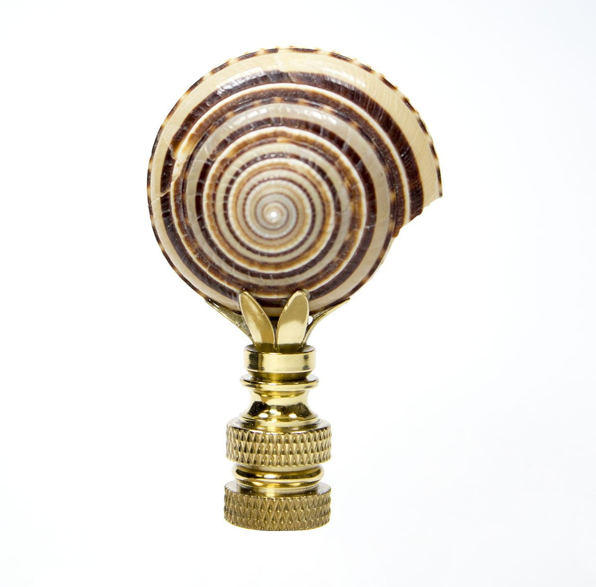 Sun Dial Shell Lamp Finial with Polished Brass Base 3"h - Walmart.com