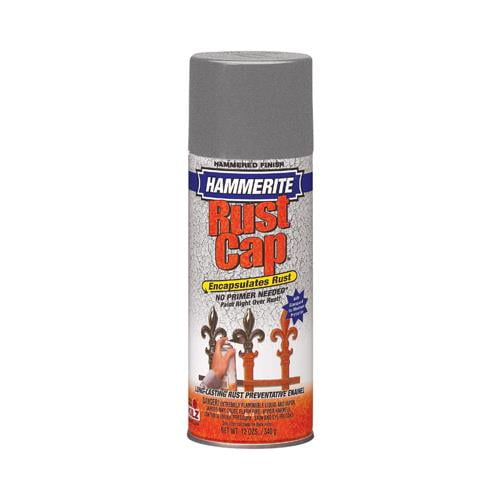 Masterchem Industries 41105 High-Gloss Spray Paint, Silver Gray ...