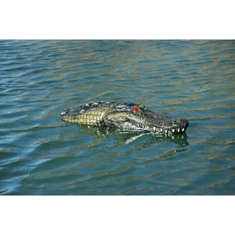 Floating Alligator Pond Floating Alligator Decoy – Lifelike Pond ...