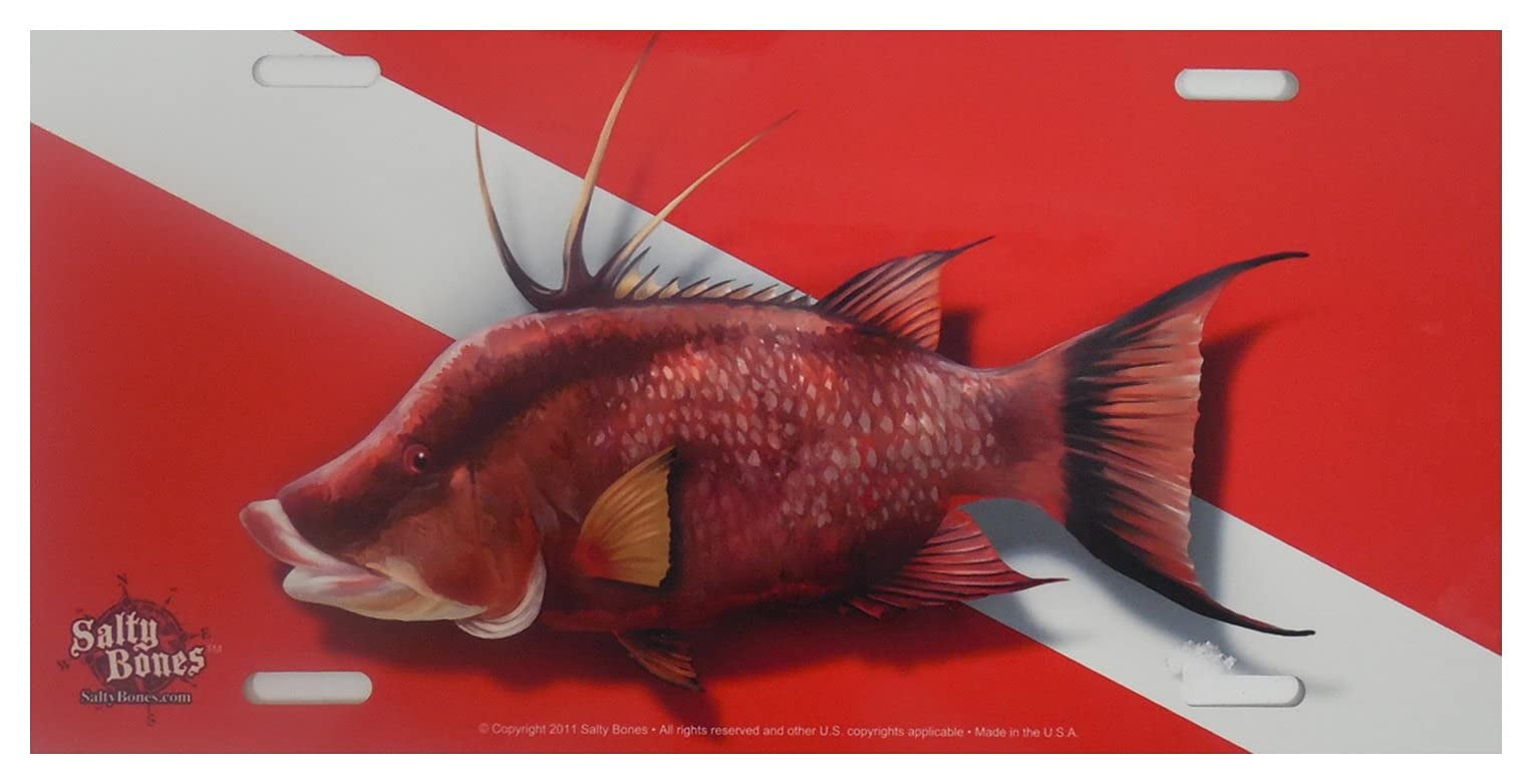 Marine Sports Hogfish Dive Flag Plate Red/White - Walmart.com