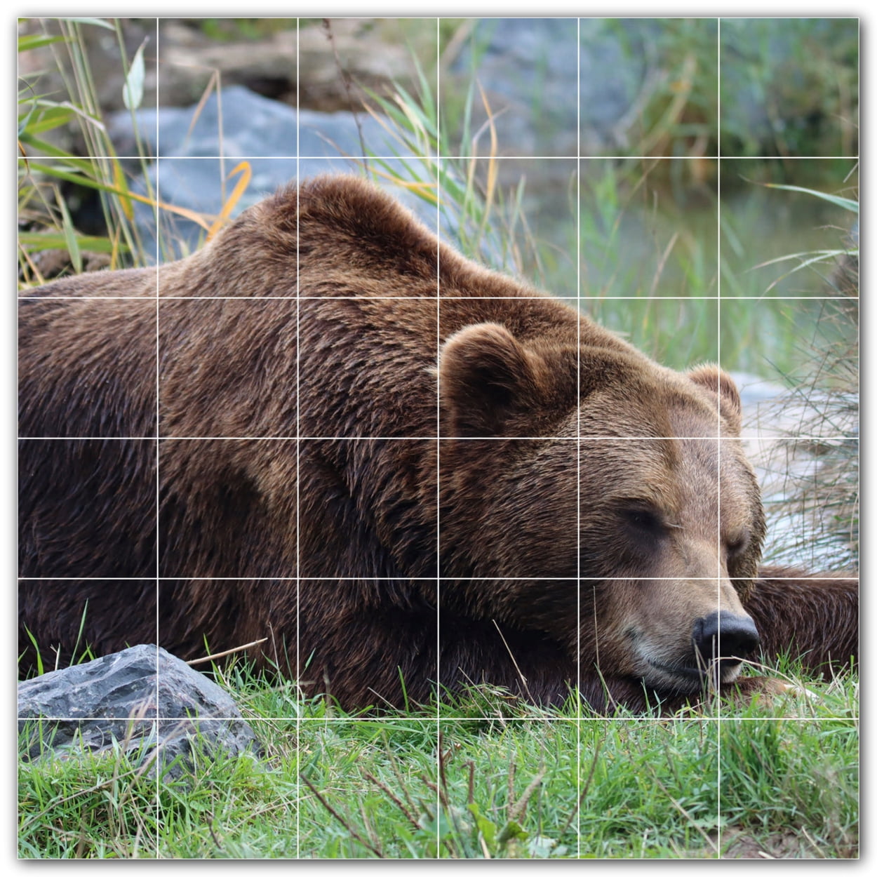 Picture-Tiles.com: Bear Ceramic Tile Wall Mural WAL500124-66XL. 72"W x ...