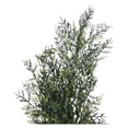 3FT Artificial Cedar Tree, Artificial Topiary Cedar Plants Potted Tree ...