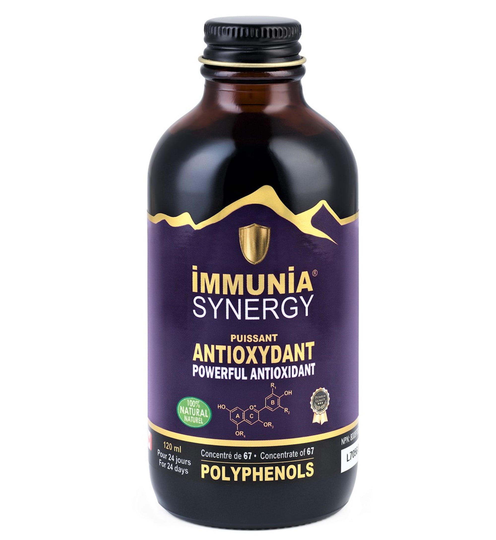Immunia Synergy – Elderberry Supplement with Antioxidant Fruits, 67 ...