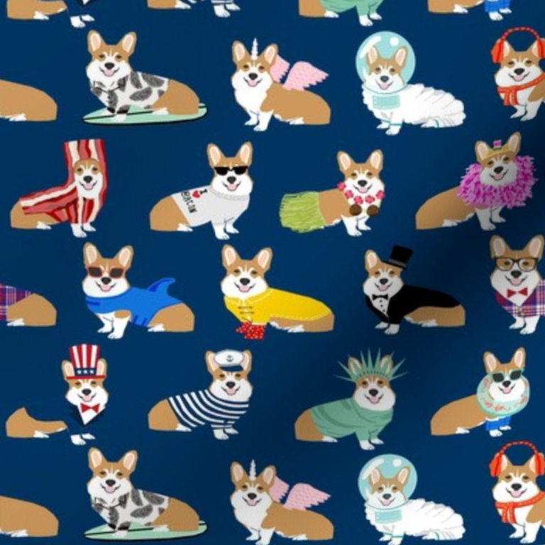 Navy Corgi | ppgbbe.intranet.biologia.ufrj.br