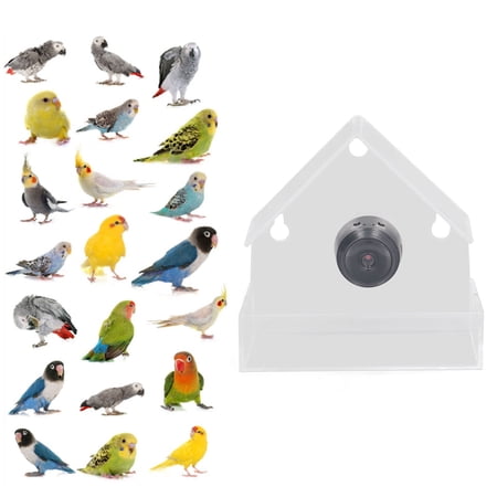Camera Smart Bird Feeder, Remote Connection 200mAh Night Vision ...