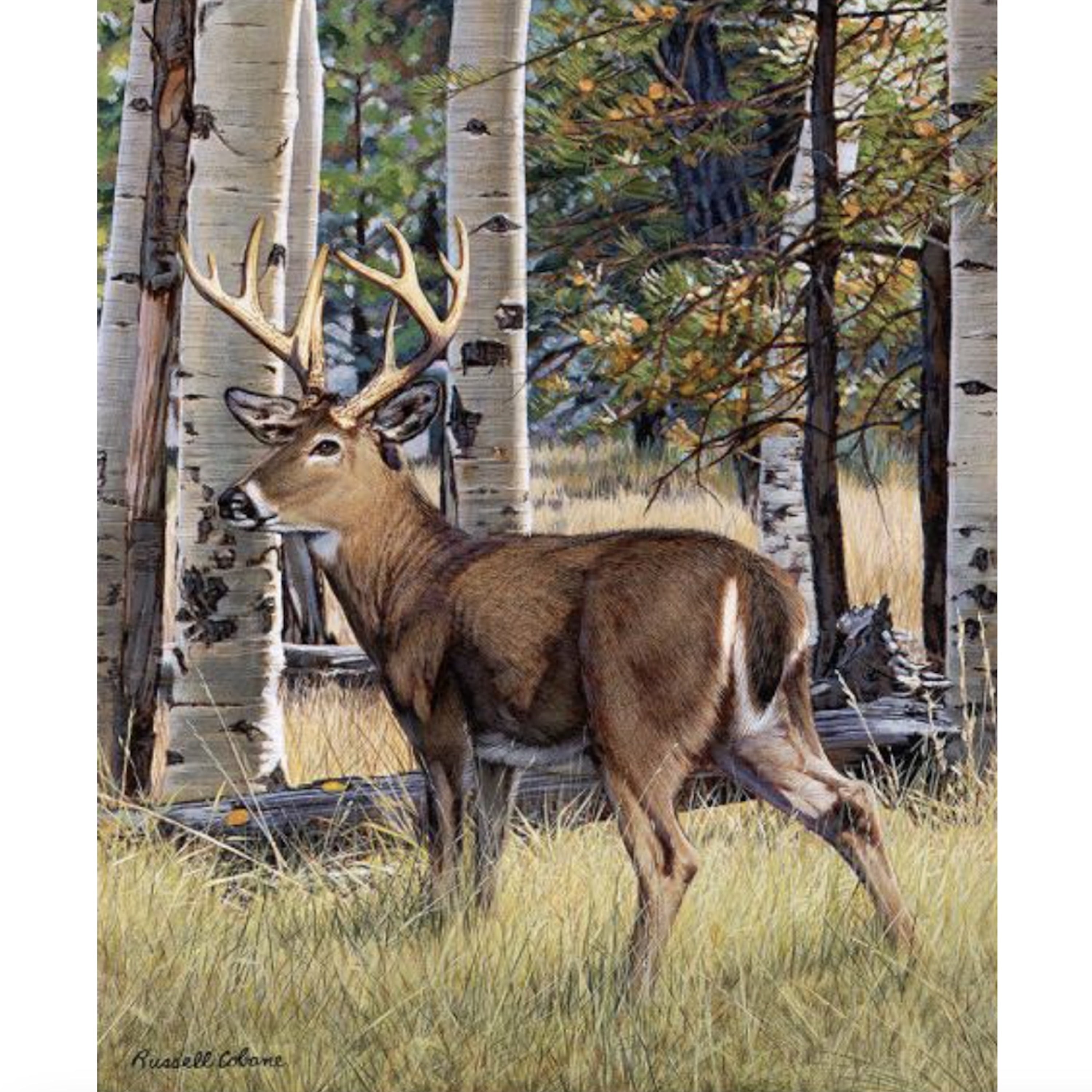 Gift Essentials Jigsaw Puzzle 1000 Piece Puzzles Fall Whitetail Deer ...