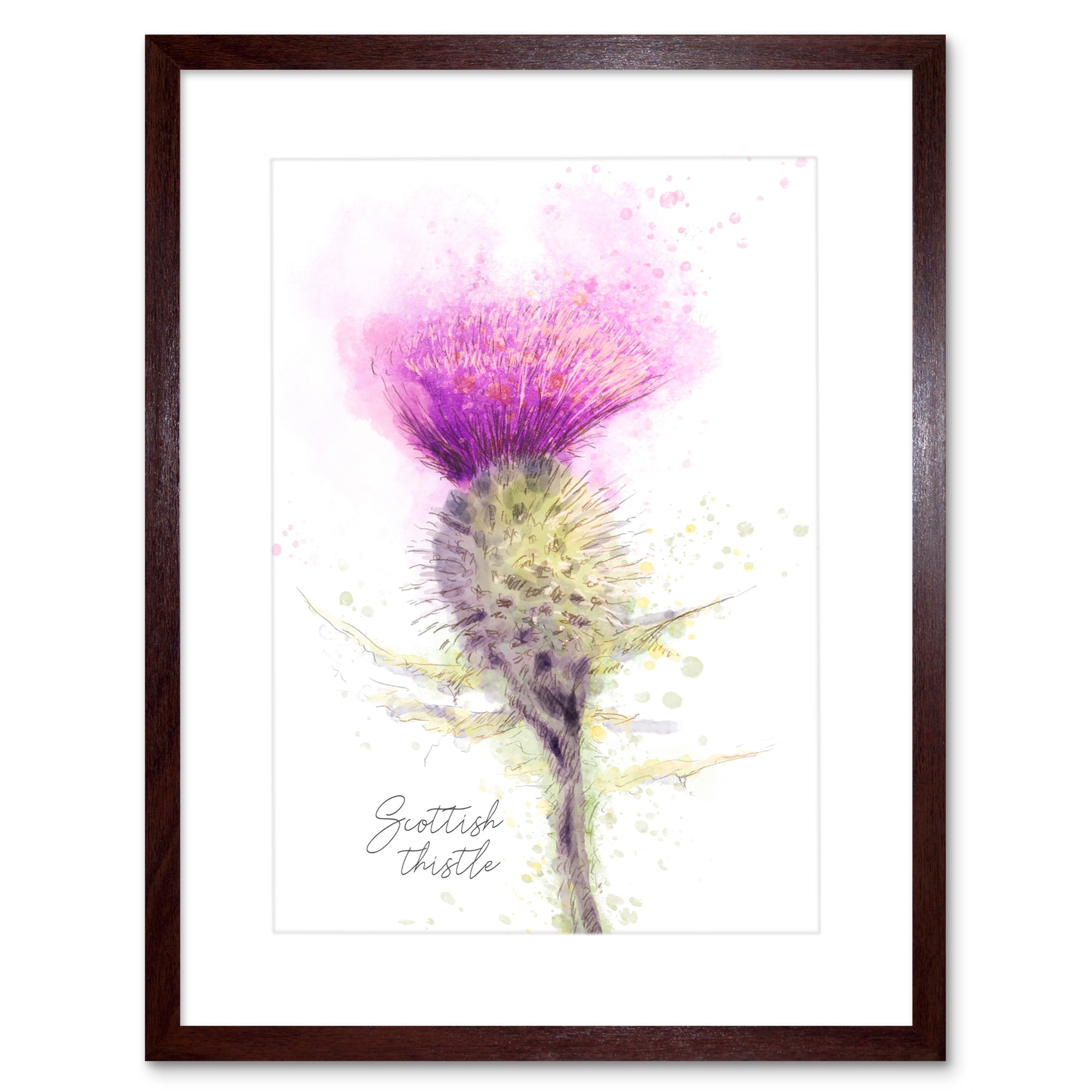 Scottish Thisle Scotland National Flower Bright Floral Watercolour ...