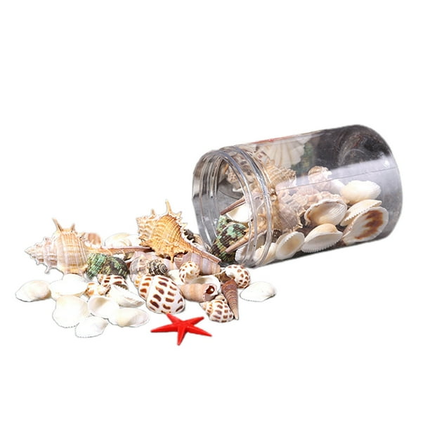 Sea Shells Aquarium Decor Mixed Beach Seashells Starfish Sea Snail Sea ...