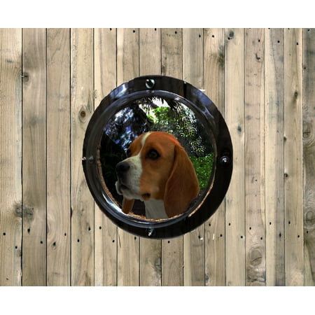 Pet Fence Dome Peek Bubble Window for Dogs - for Dogs See Outside ...