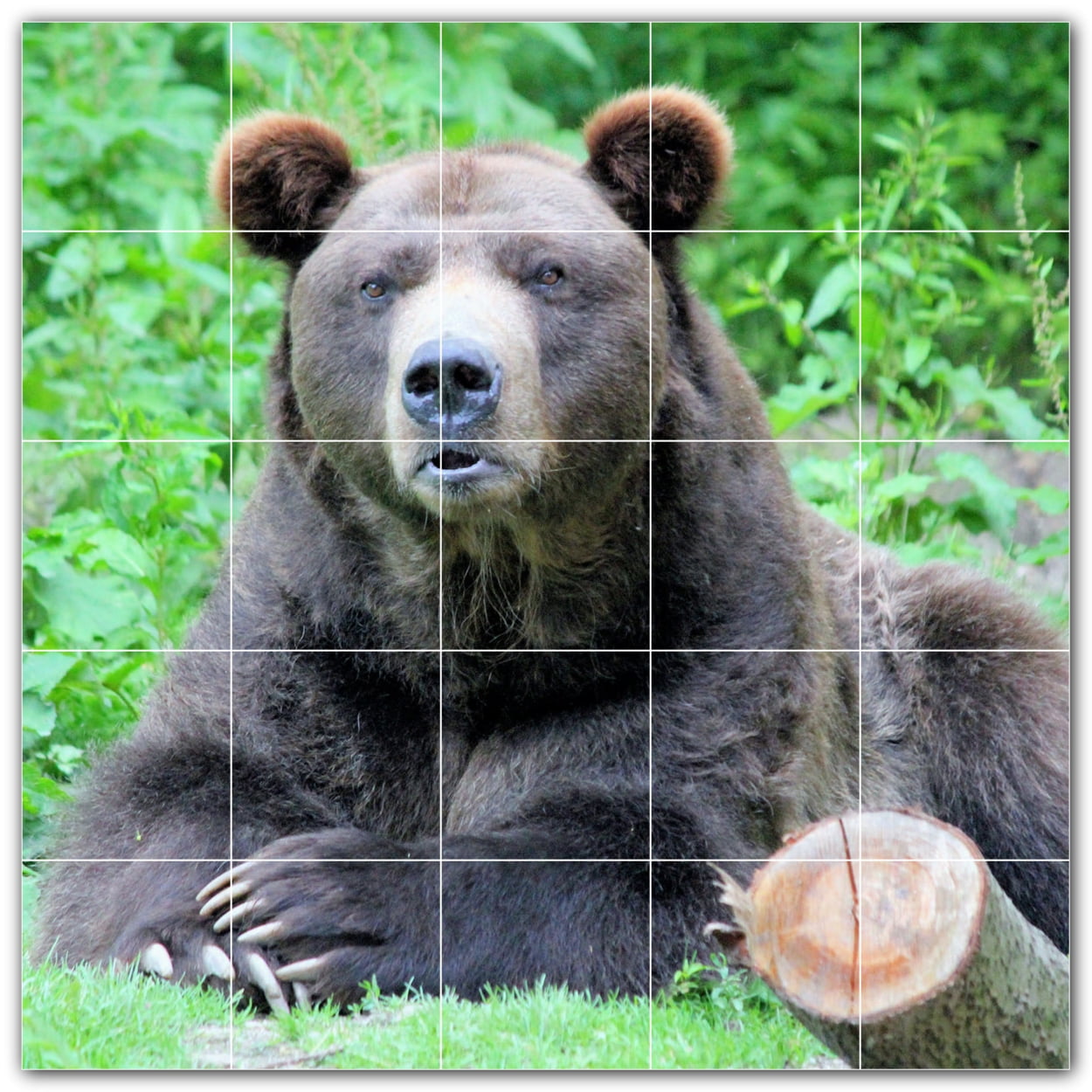 Picture-Tiles.com: Bear Ceramic Tile Wall Mural WAL500110-55XL. 60"W x ...