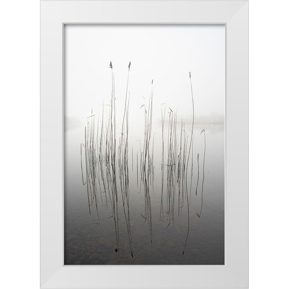 Ahern, David 17x24 White Modern Wood Framed Museum Art Print Titled ...