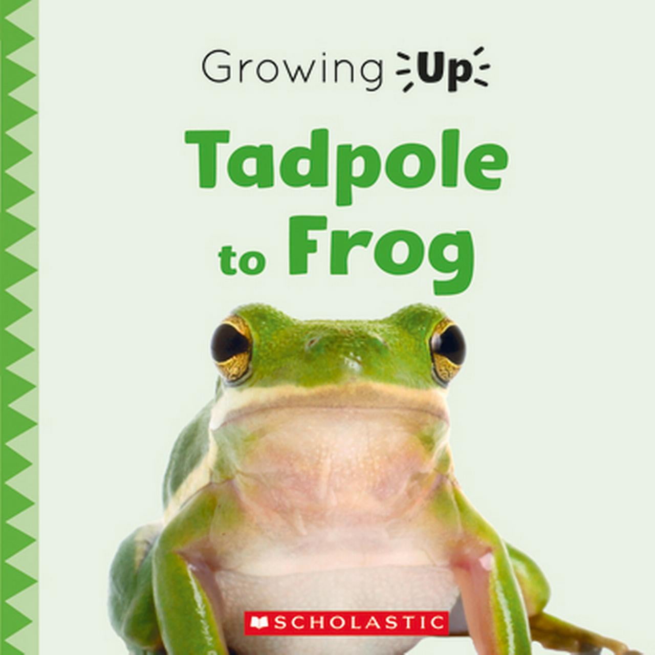 Pre-Owned Tadpole to Frog (Growing Up) (Paperback) 0531137090 ...