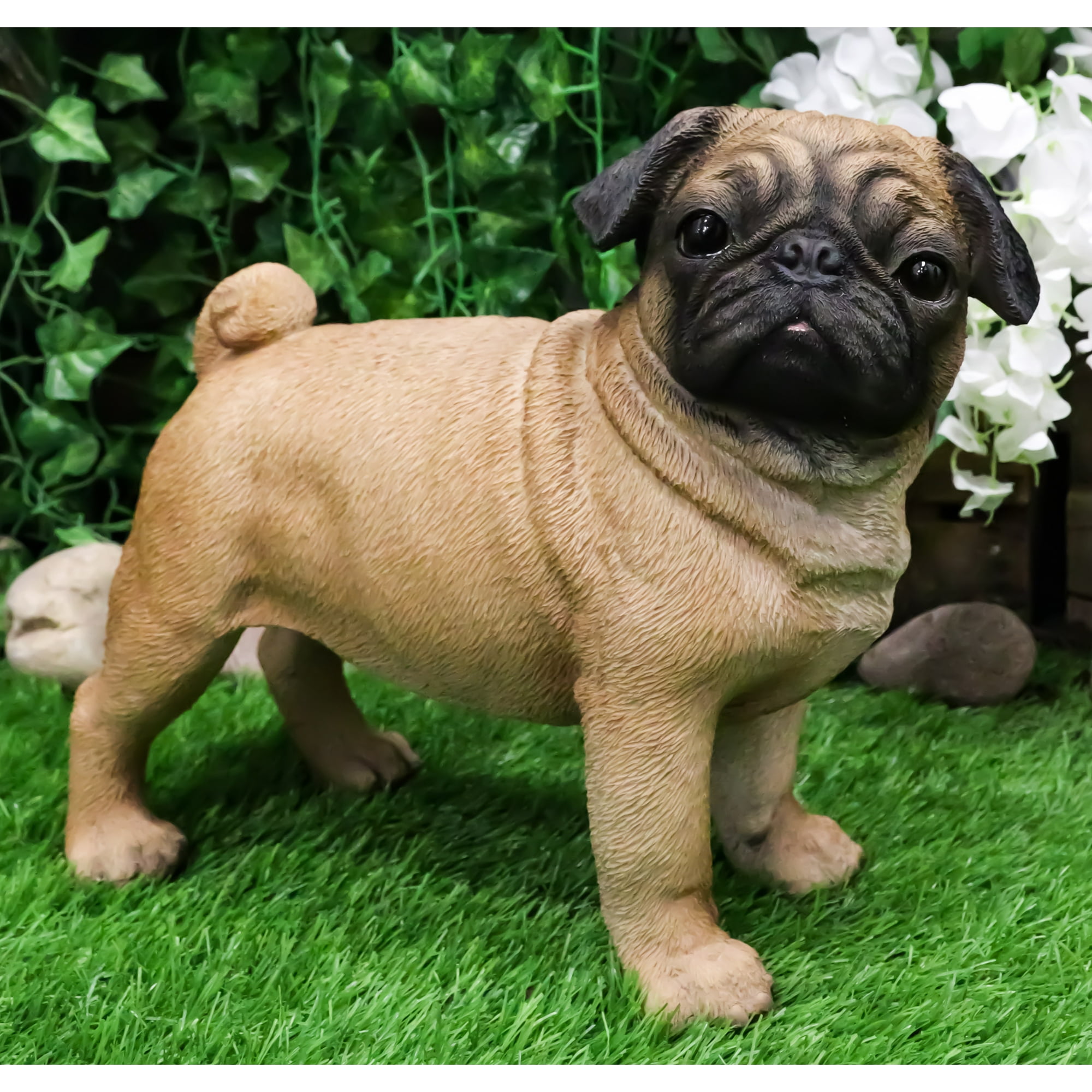 Silver Fawn Pugs