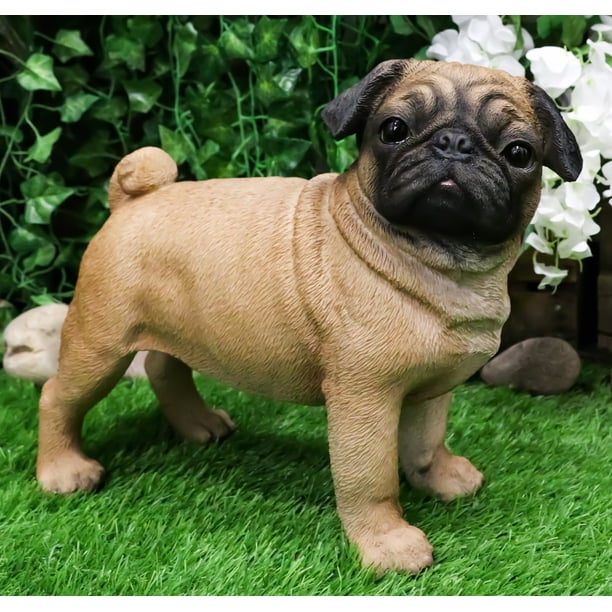 Ebros Large Realistic Fawn Pug Dog Statue 12"L Fine Pedigree Dog Breed ...