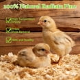 80 Ounces Radiata Pine Shavings for Chicken Coop Bedding,5LB Pine ...