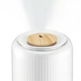 Homedics Warm & Cool Mist Ultrasonic 2G Humidifier - Walmart.com