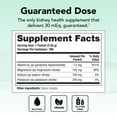 Theralogix CitraLith Kidney & Urine Health Supplement, 90 Day Supply ...