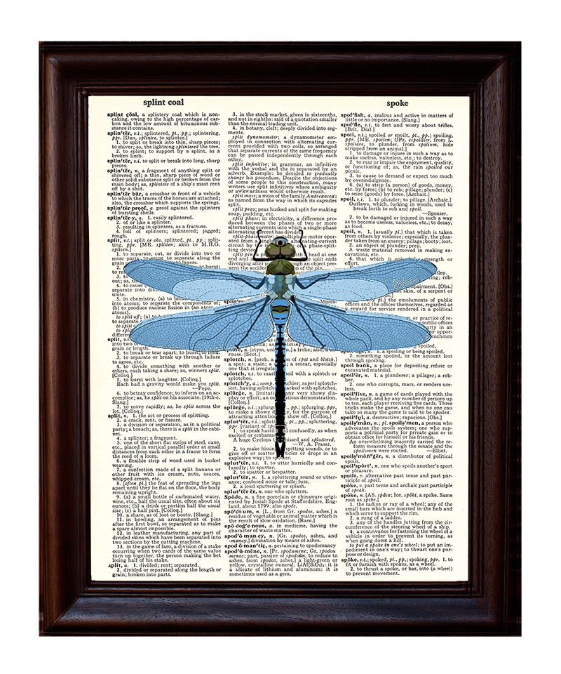 Blue Dragonfly - Dictionary Art Print Printed On Authentic Vintage ...