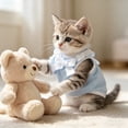 Cat Recovery Suit for After Surgery, Anti-Lick Spay Neuter Protective ...