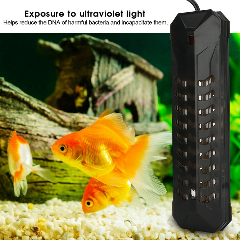 Black Light Fish Tanks