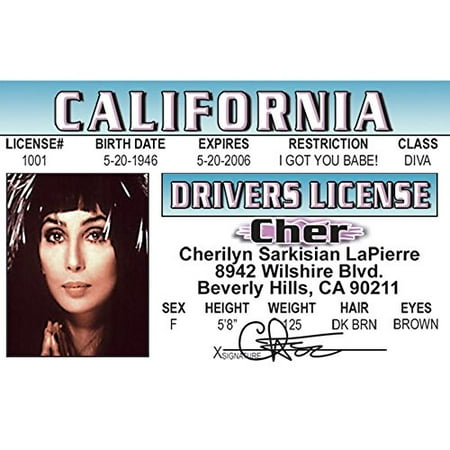 Signs 4 Fun Nchid Chers Drivers License | Walmart Canada