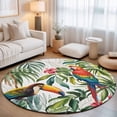 Colorful Birds 4FT Round Area Rugs Colorful Parrots Rest on Large ...